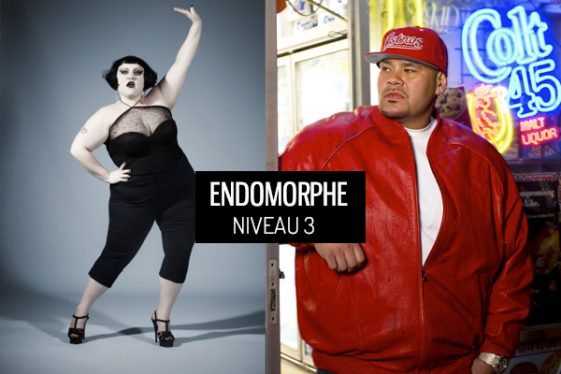 Endomorphe mophotype en détaille | Physique de rêve